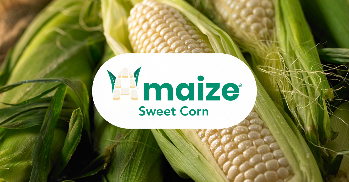 Our Sweet History | Amaize Sweet Corn